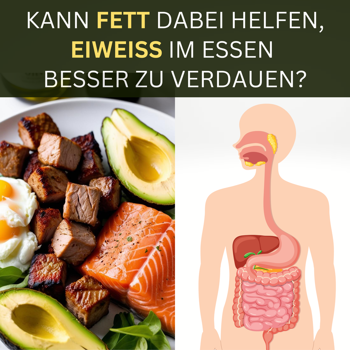 Kann Fett dabei helfen, Eiweiß im Essen besser zu verdauen? 🥩🐟🍳 ...